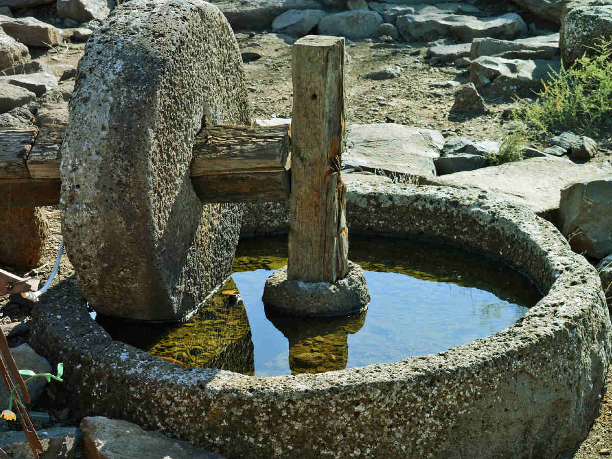 Cretan Olive Oil Farms: 6 Reasons to Visit Them